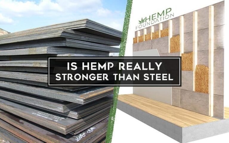 The Usages Of Every Part Of Hemp Plant | Hemp Foundation