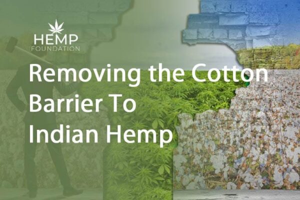 Removing the Cotton Barrier To Indian Hemp