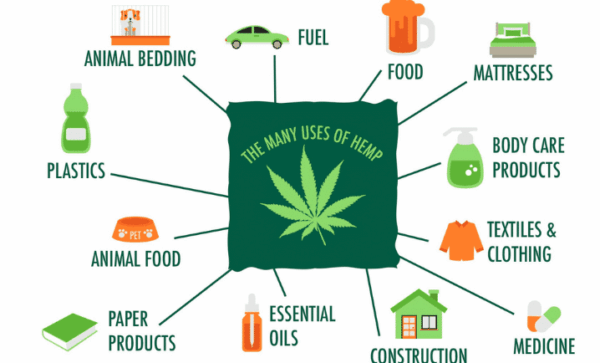 The Many Uses of Hemp: 249 Ways It Benefits People & Planet